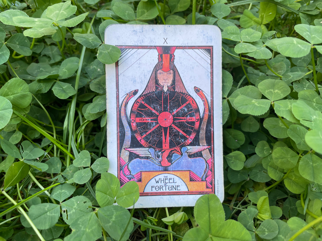 DAMIAN ROGERS – CAROUSEL